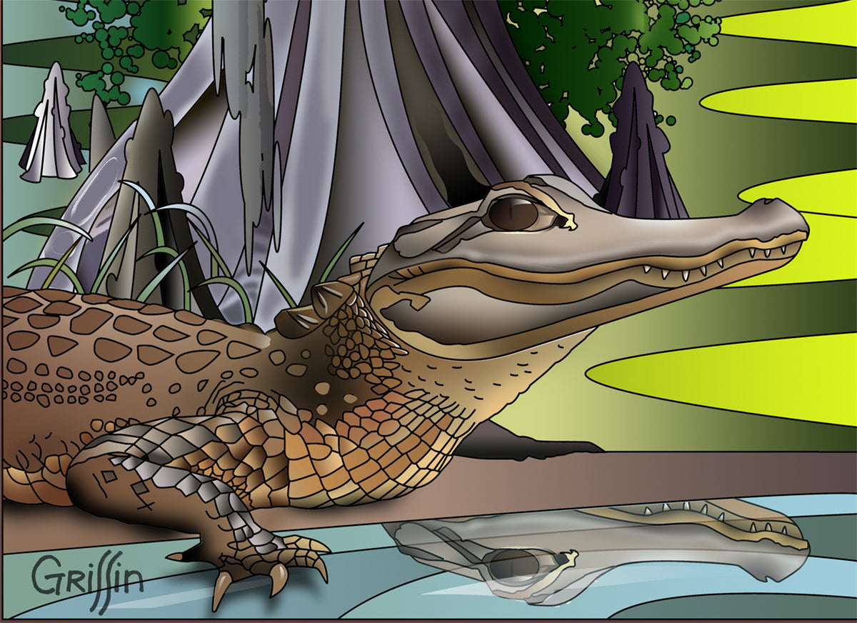 Talking about a dream, Clyde Butcher and the Everglades 'gators ...